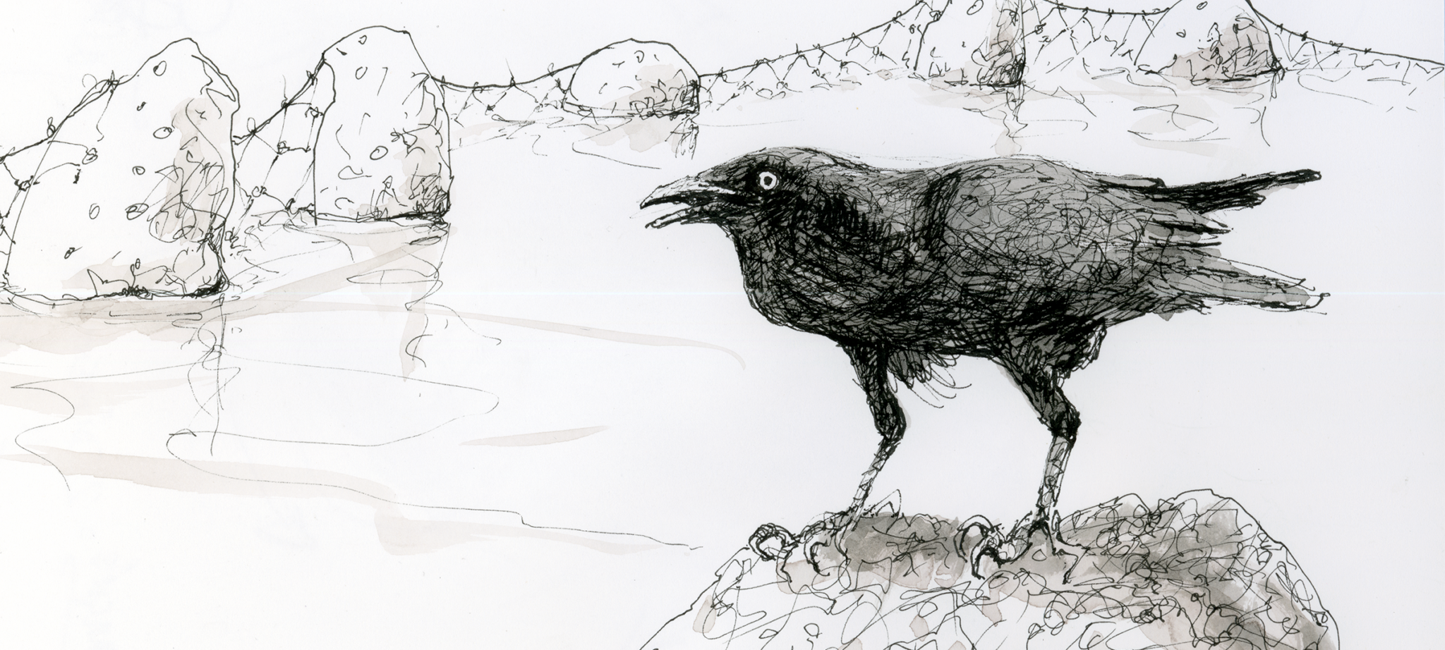 Crow Song – Aboriginal Living Languages SA